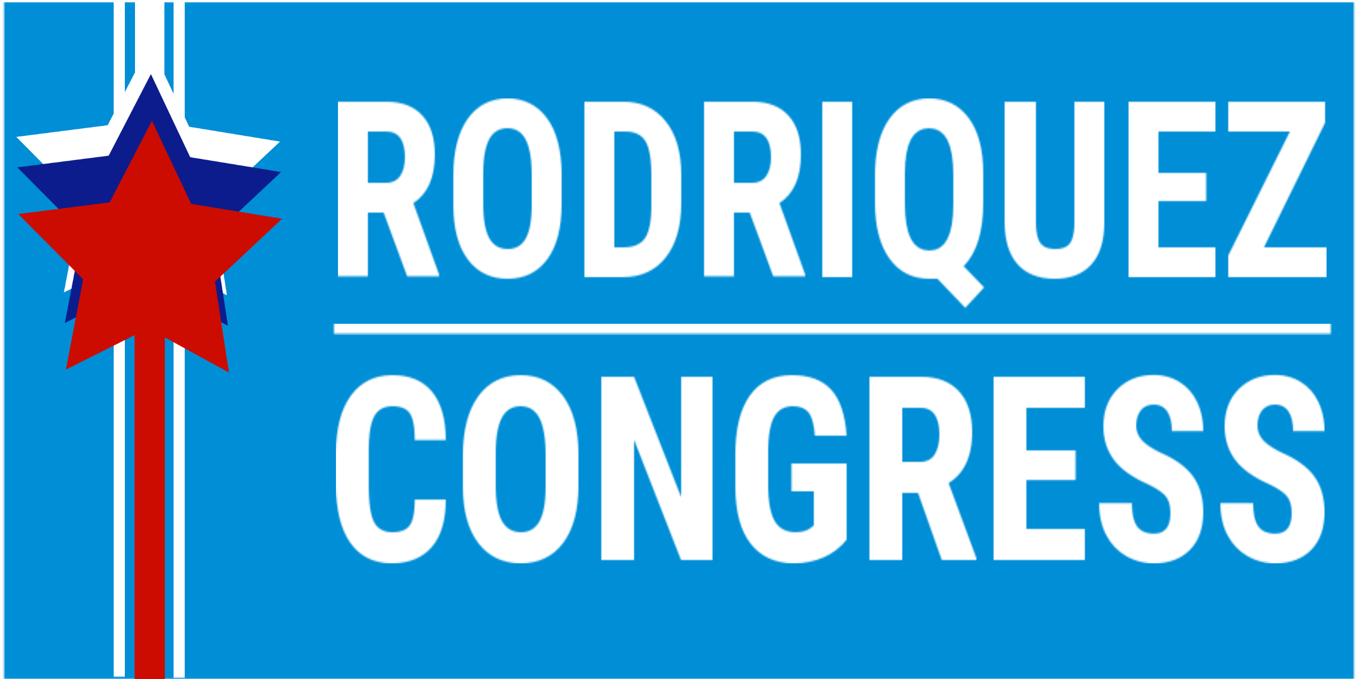 Big Campaign Sign, Political - 24 x 48 - Tags: elect, election ...